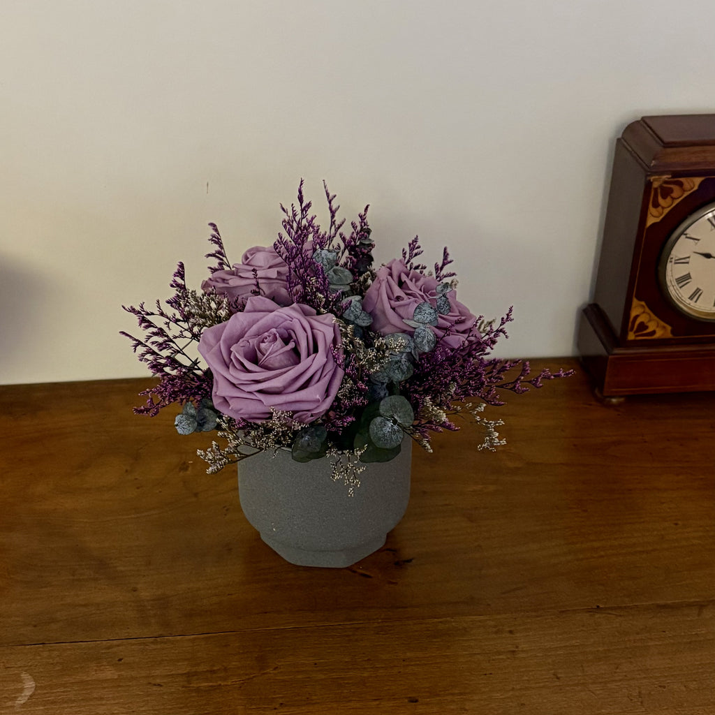 Lilac Mist – Magic Flower Company