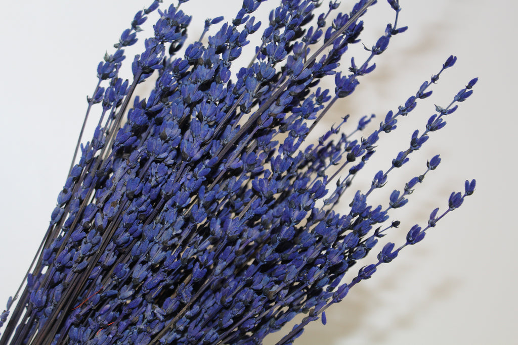 Lavender Sprigs – Magic Flower Company
