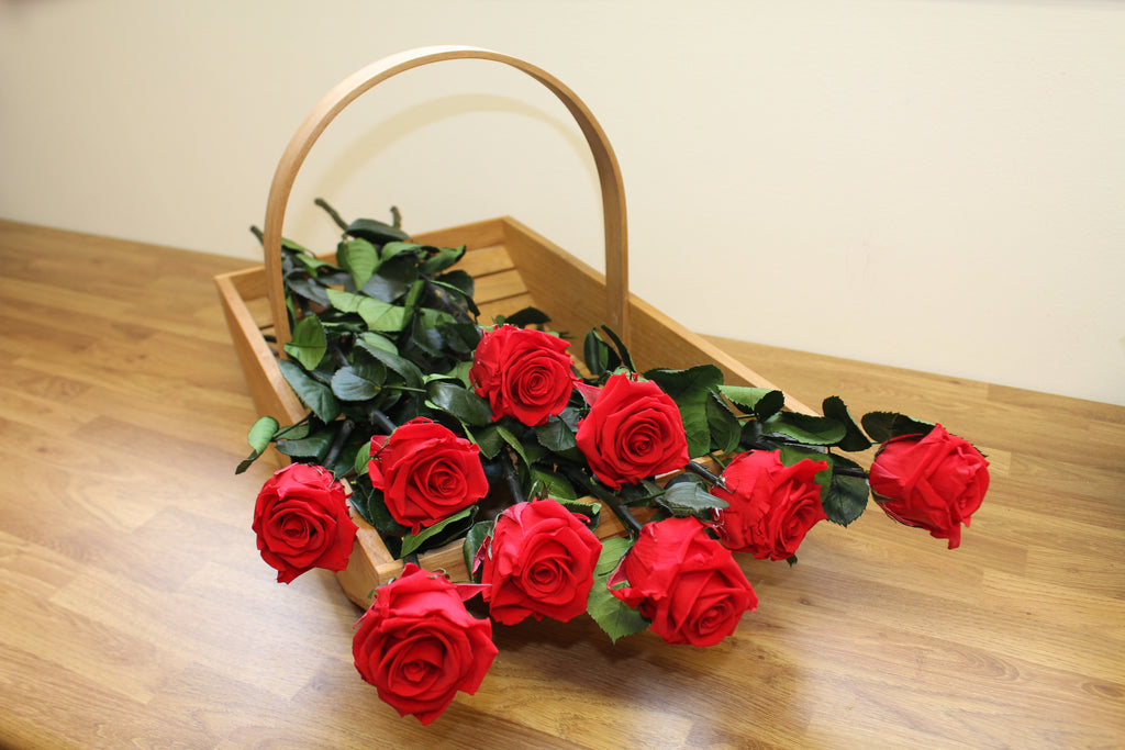 Red Premium Magic Rose – Magic Flower Company